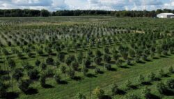 Goodlyfe Farms | High Quality Cannabis